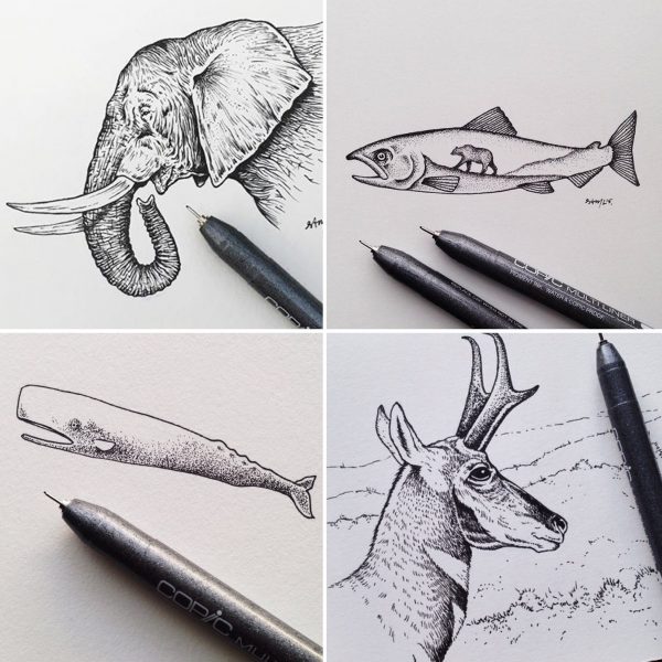 Featured Artist – Sam Larson – 1-8-16