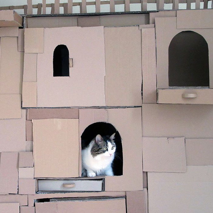 Cat Cardboard Houses taken to the next level