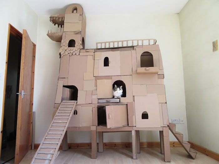 Cat Cardboard Houses taken to the next level